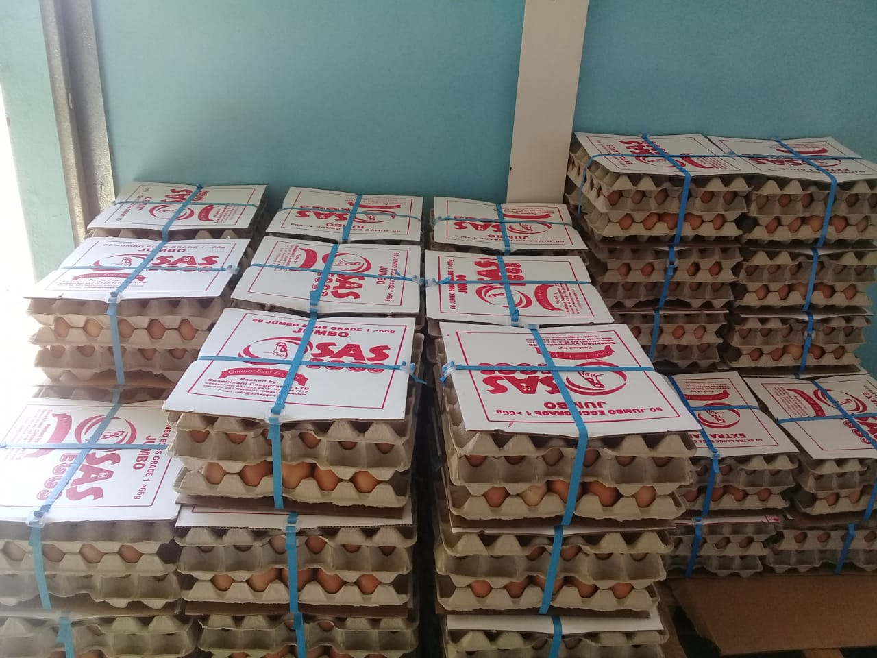 Sasekisani Primary Co-Operative - Productivity SA