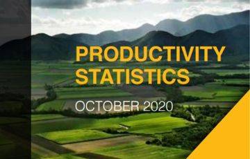 Research Innovation & Statistics (RIS) - Productivity SA